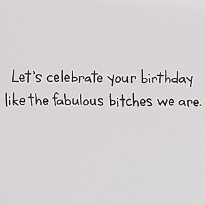 Hallmark Shoebox Friends Birthday Card