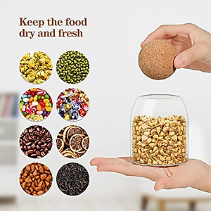 ComSaf 480ml/16Oz Glass Storage Container with Ball Cork, 3Pcs Glass Jar with Cork Lid, Round Cork Glass Bottle, Small Candy Jar with Wood Ball Lid for Food, Coffee, Sugar, Spice, Tea, DIY Decoration