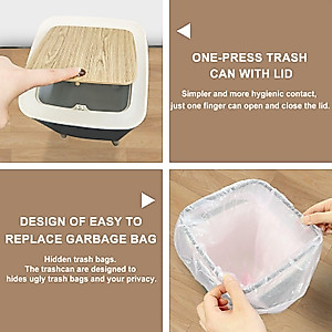 hgsschrek Small Trash Can with Lid Exaggerated Tiger Features Expressive Eyes Bold Colors 2.6 Gallon/10L Garbage Can Waste Bin with Pop-Up Lid Wood Legs Wastebasket for Bathroom Kitchen Bedroom