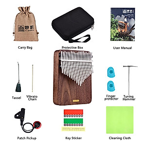 LingTing Kalimba 21 keys Thumb Piano Mbira Finger Piano Gift for Kids Adult Beginners Professional（LT-K21W,rain whisperer)