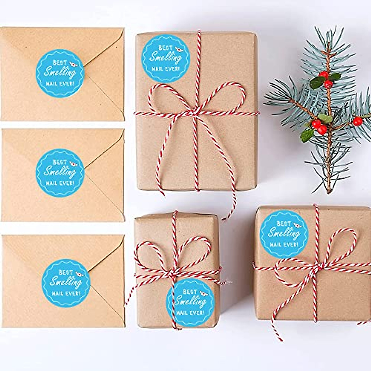 Best Smelling Mail Ever Sticker 1.5 Inch Happy Mail Envelope Labels - Decorative Sealing Labels 500Pcs Happy Mail Stickers for Christmas Gifts,Small Business,Package,Boutique Shipping Supplies