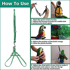 ASOCEA Adjustable Bird Harness and Leash for Yellow Naped Amazons Galah Cockatoos Small to Medium Breed Parrots Fits Birds Chest Between26-40cm /10.24-15.75inch - S