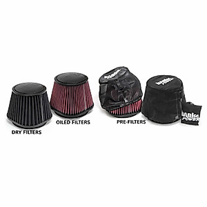Banks 42145-D Air Intake System