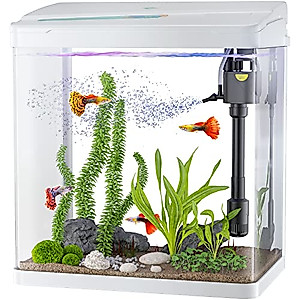 PONDON Betta Fish Tank, 3 Gallon Glass Aquarium, 3 in 1 Fish Tank with Filter and Light, Desktop Small Fish Tank for Betta Fish, Guppies, Goldfish