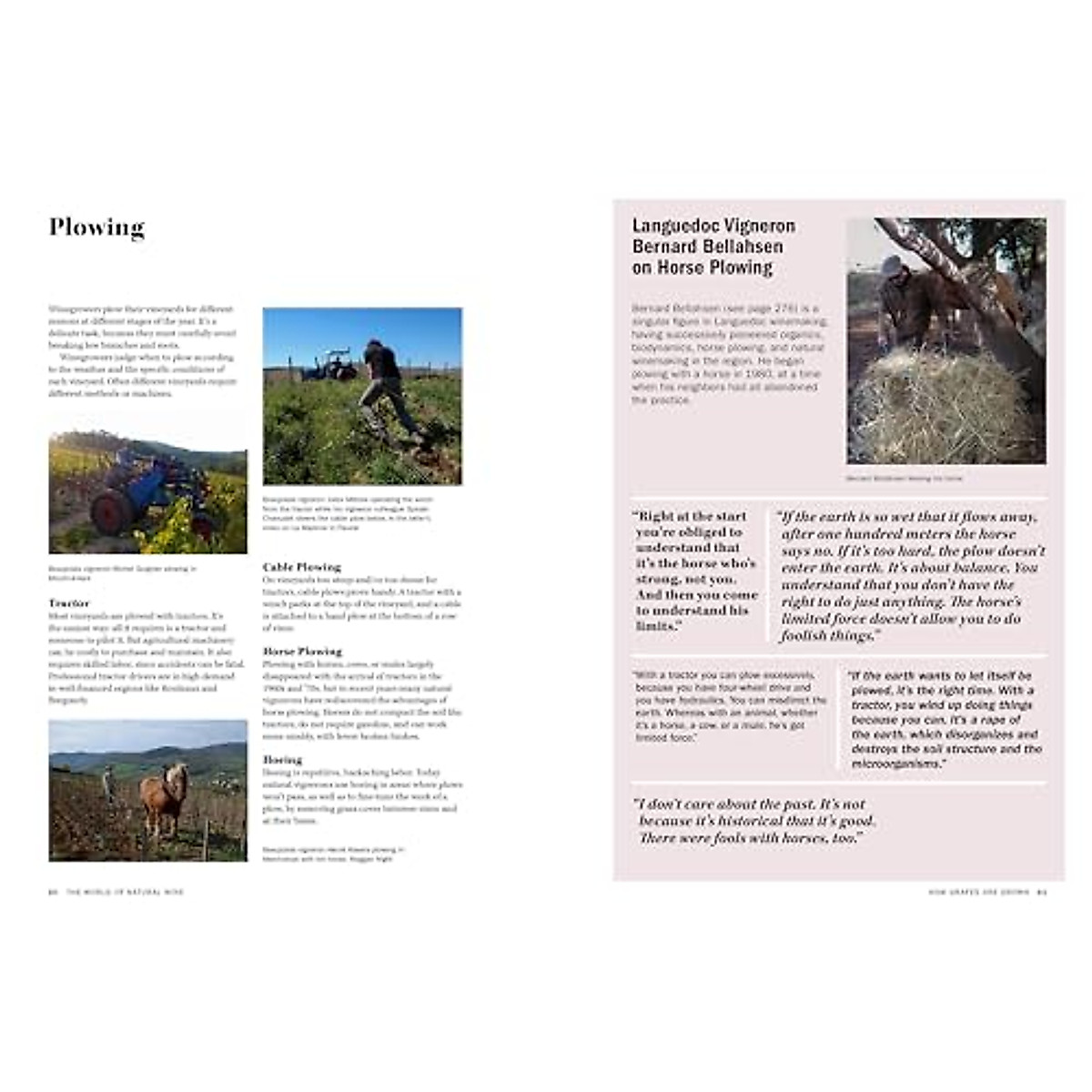 The World of Natural Wine: What It Is, Who Makes It, and Why It Matters