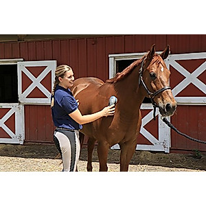 Oster Equine Care Series Finishing Brush, Soft Bristle, Natural Hog Hair, Blue