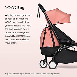 BABYZEN YOYO Bag, Peppermint - Provides Additional, Sturdy Storage on The YOYO2 Stroller - Includes Wheel Base & Hooks
