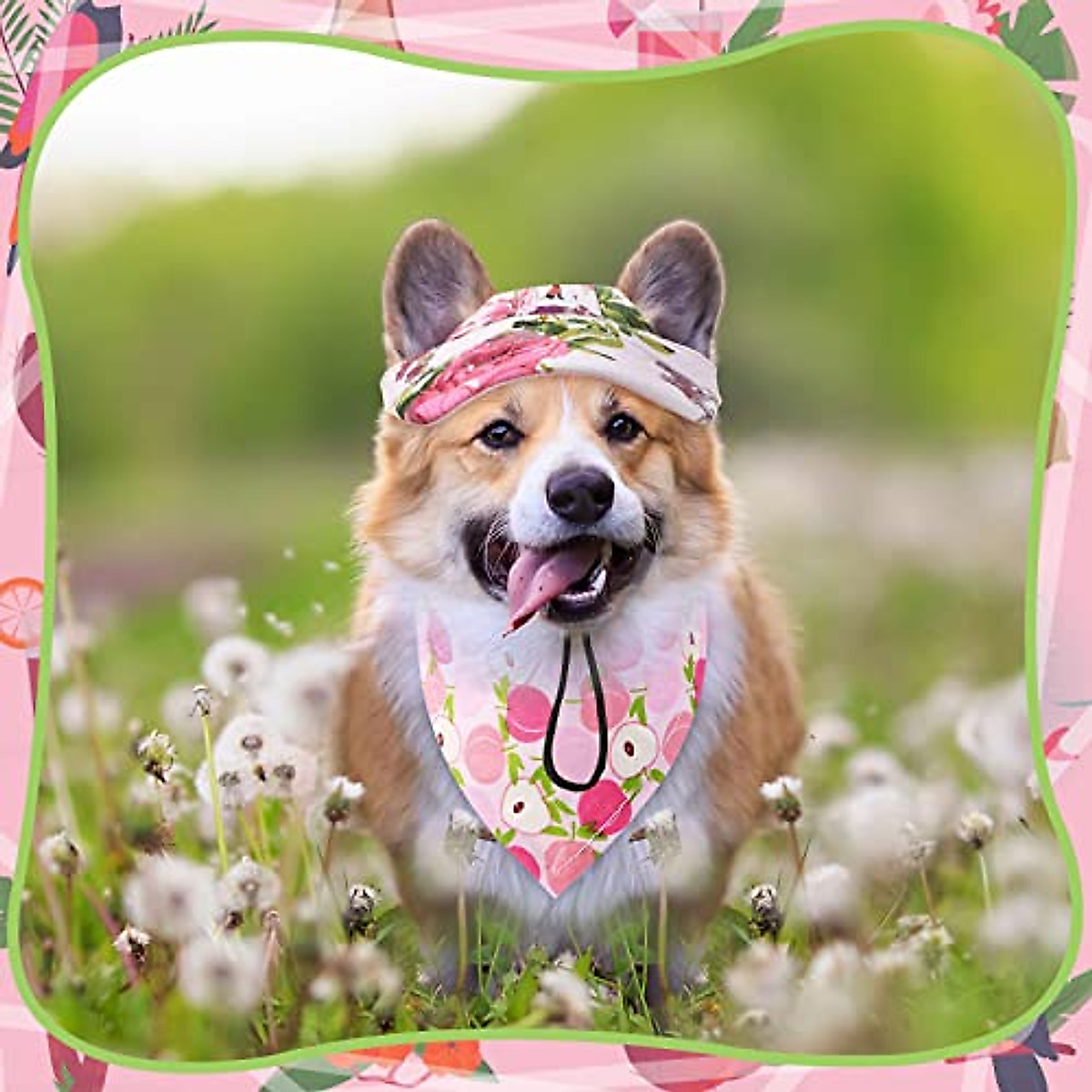 3 Pieces Dog Baseball Cap Bandanas Set, Included 1 Adjustable Dog Sun Protection Hat with Ear Holes and 2 Pink Doggie Summer Cat Bandana Puppy Summer Costume Supplies for Small Dogs Puppies Pet, Small