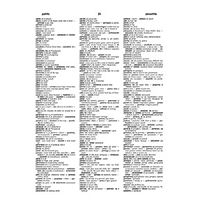 Webster's Notebook Spanish-English Dictionary - Designed for students - Fits in a 3-ring binder (Spanish and English Edition)