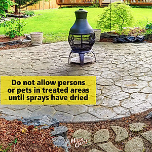 CENTRAL GARDEN BRANDS 100503872 Lilly Miller Moss Out for Roofs and Walks Ready to Spray 27oz, 27 oz, Multicolor