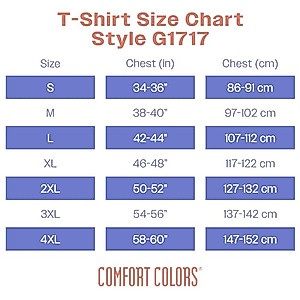 Comfort Colors Adult Short Sleeve Tee, Style G1717, Berry (1-pack), Large