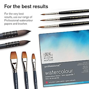 Winsor & Newton Professional Watercolor Paint Set, Lightweight Metal Box, 24 Half Pans