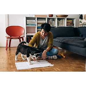 Rabbit Pee Pads, Disposable Super Absorbent Diaper, Pet Toilet/Potty Training Pads for Guinea Pigs, Hedgehog, Hamsters, Chinchillas, Cats, and Other Small Animals (33×45CM-100 Counts)