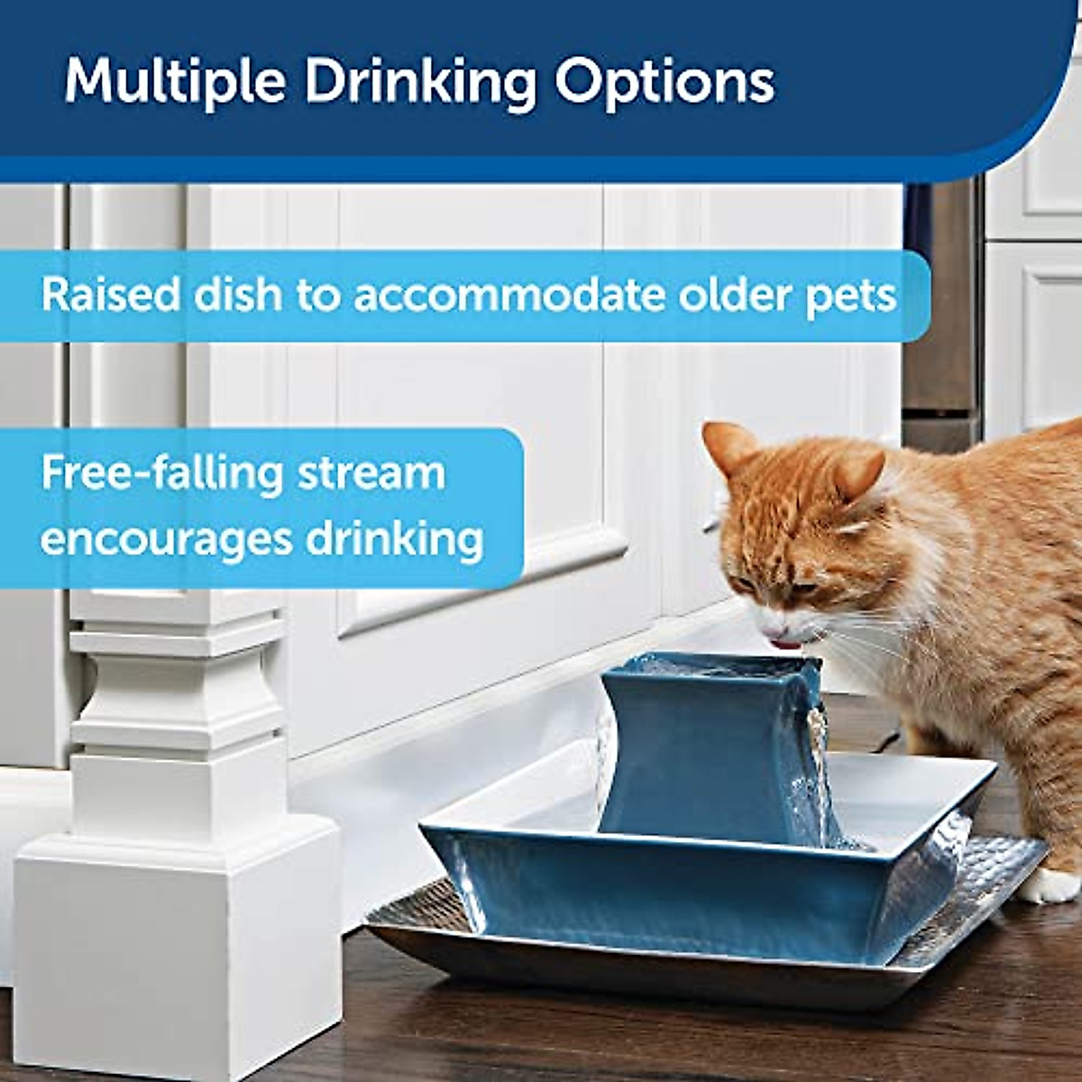 Drinkwell Pagoda Pet Fountain - From PetSafe in Knoxville, TN - Dog Water Bowl Dispenser - Multiple Angles to Drink From - Filters Included - Dog Fountain Provides Water When Power’s Out - Blue