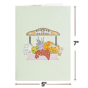 Paper Love 3D Flower Bike Pop Up Card, Handmade Fall Greeting Cards For Autumn, Birthday, Thanksgiving, Halloween, Thinking of You, All Occasion or Just Because | 5" x 7" Includes Envelope and Note