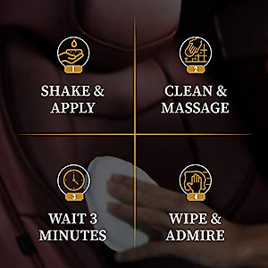 Lexol E301125500 pH-balanced Leather Cleaner, 16.9 oz