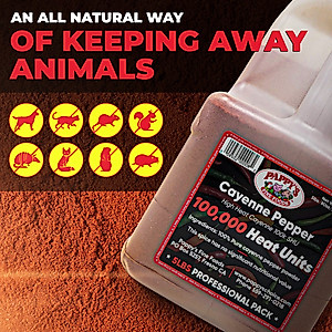 Cayenne Pepper Powder Bulk – 100,000 Heat Units - 5lb Jar.