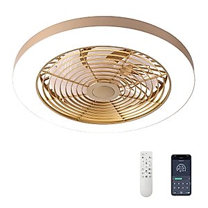 Orison Low Profile - 19.7" Smart Bladeless ceiling fans with Light and Remote,3 Colors Dimmable LED 6 Speeds 8 Blades Enclose for Adult Kids Living Room Bedroom