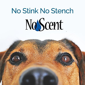 No Scent Anal Gland Express & Skunk Spray Pet Fur Cleaner for Dogs & Cats (2 Fl Oz / 59 mL)