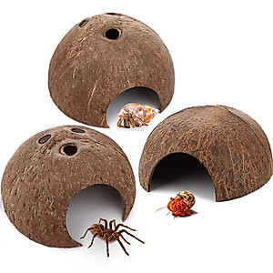 DQITJ 3 Pack Hermit Crab Hideout, Natural Coconut Shells Hut for Spider Hermit Crab Gecko Turtle Small Reptile Fish Tank Aquarium