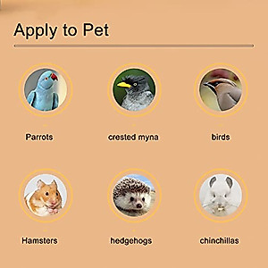 Heating Bird Perch Platform, Perch for Birds, 3543C, Thermostatic Perch, Cage Accessories for, Hamster, Chinchilla, 12V