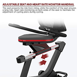 Recumbent Exercise Bike for Seniors 350 LBS Capacity with Magnetic Resistance Indoor Cycling Bike Stationary with iPad Holder for Home Gym Cardio Workout