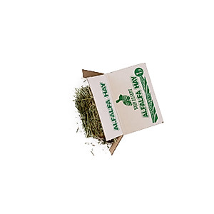 High Desert Alfalfa Hay - Dried Natural Alfalfa Hay for Rabbits, Guinea Pigs, Chinchillas, and Ferrets - Protein and Fiber Rich Food for Small Animals - Healthy Pet Food