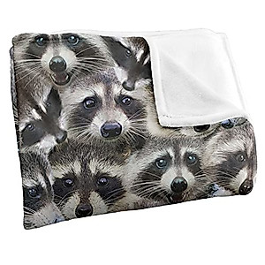 Trevco Racoons Silky Touch Super Soft Throw Blanket 36" x 58"