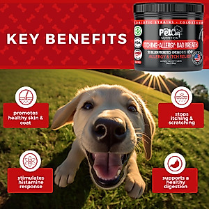 Pet Chef Allergy Defender - Natural Dog Allergy Relief Chews - Effective Medicine for All Dog Allergies, Environment & Household Irritant Prevention - Safe & Strong Dog Allergy Supplements for Dogs