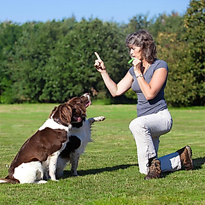 Potato Zone Emergency Whistle – Survival Keychain Whistle Emergency – 120db Loud Safety Whistle for Protection, Camping, Hiking, Sports, Dog Training – Portable Metal Whistle with Keychain
