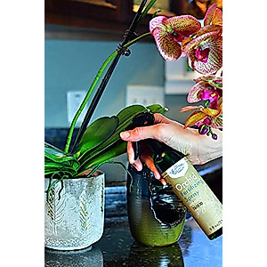 Southside Plants Weekly Orchid Food Fertilizing Spray - Ready to Use Mist Increase Humidity & Nutrients House Plants Farm - Safe Grow Formula for Orchid Leaves, Stems, Roots - 8oz