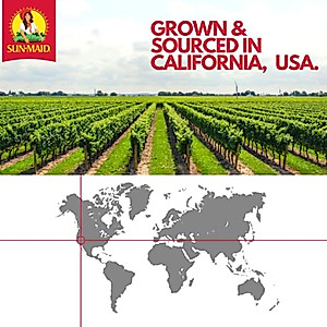 Sun-Maid Vanilla Yogurt Coated Raisins - (6 Pack) 1 oz Snack-Size Box - Yogurt Covered Dried Fruit Snack for Lunches and Snacks