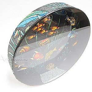 2010's Remo Remo OCEAN DRUM - 16" x 2 1/2" FISH See Photo