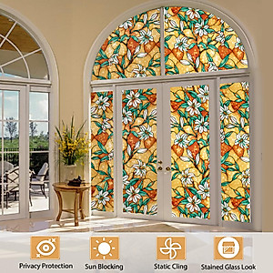 Coavas Window Privacy Film, Frosted Stained Glass Window Film Decorative Window Cling Privacy Film for Glass Windows, Bathroom Non Adhesive Window Tint for Home (Vinyl, 17.5" x 78.7 ")