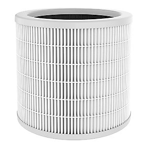 QUEENTY True HEPA Filter - Replacement Air Purifier Filter for QUEENTY F008&F007 Air Purifier (Filter)