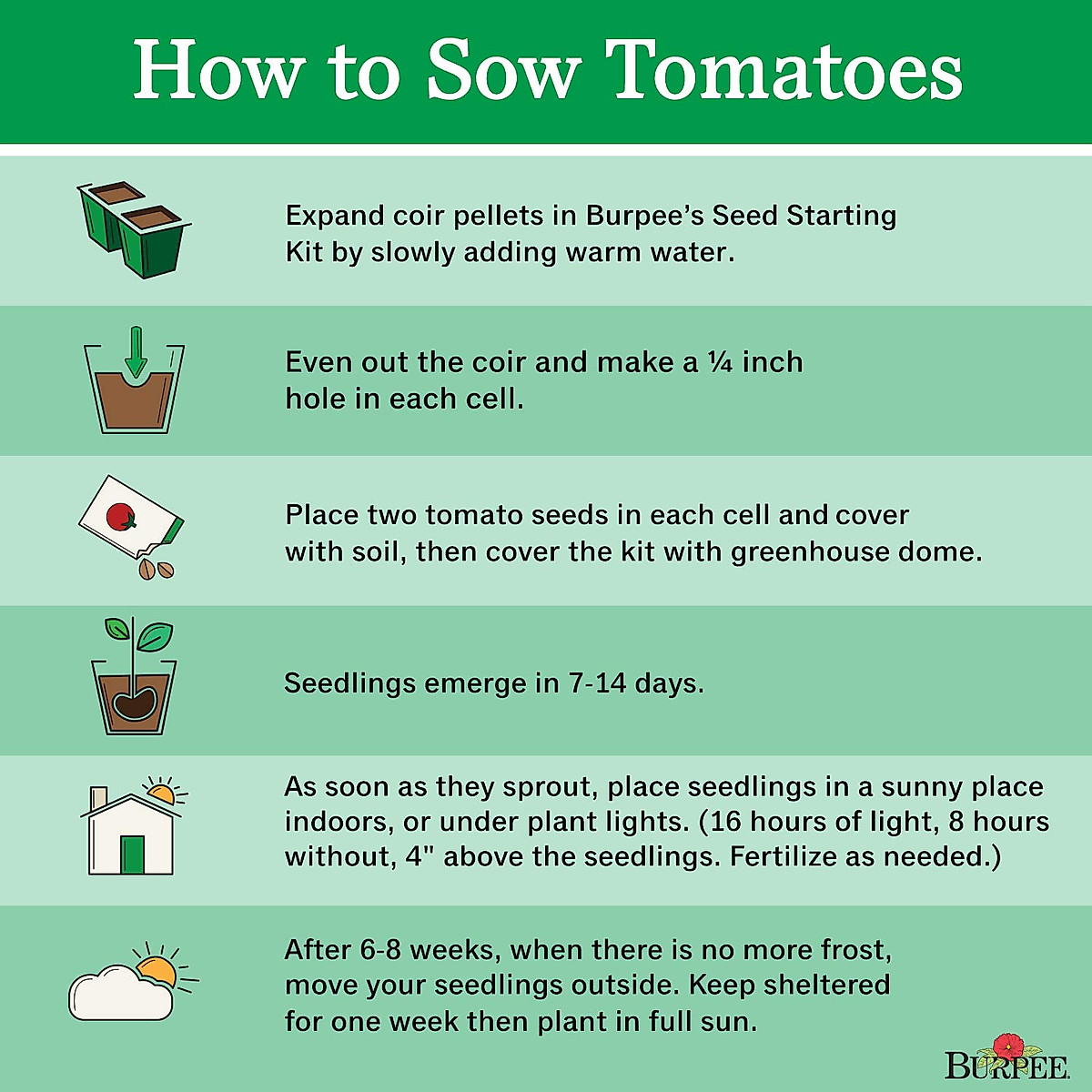 Burpee 'Hillbilly' Heirloom | Yellow Slicing Tomato | 30 Seeds