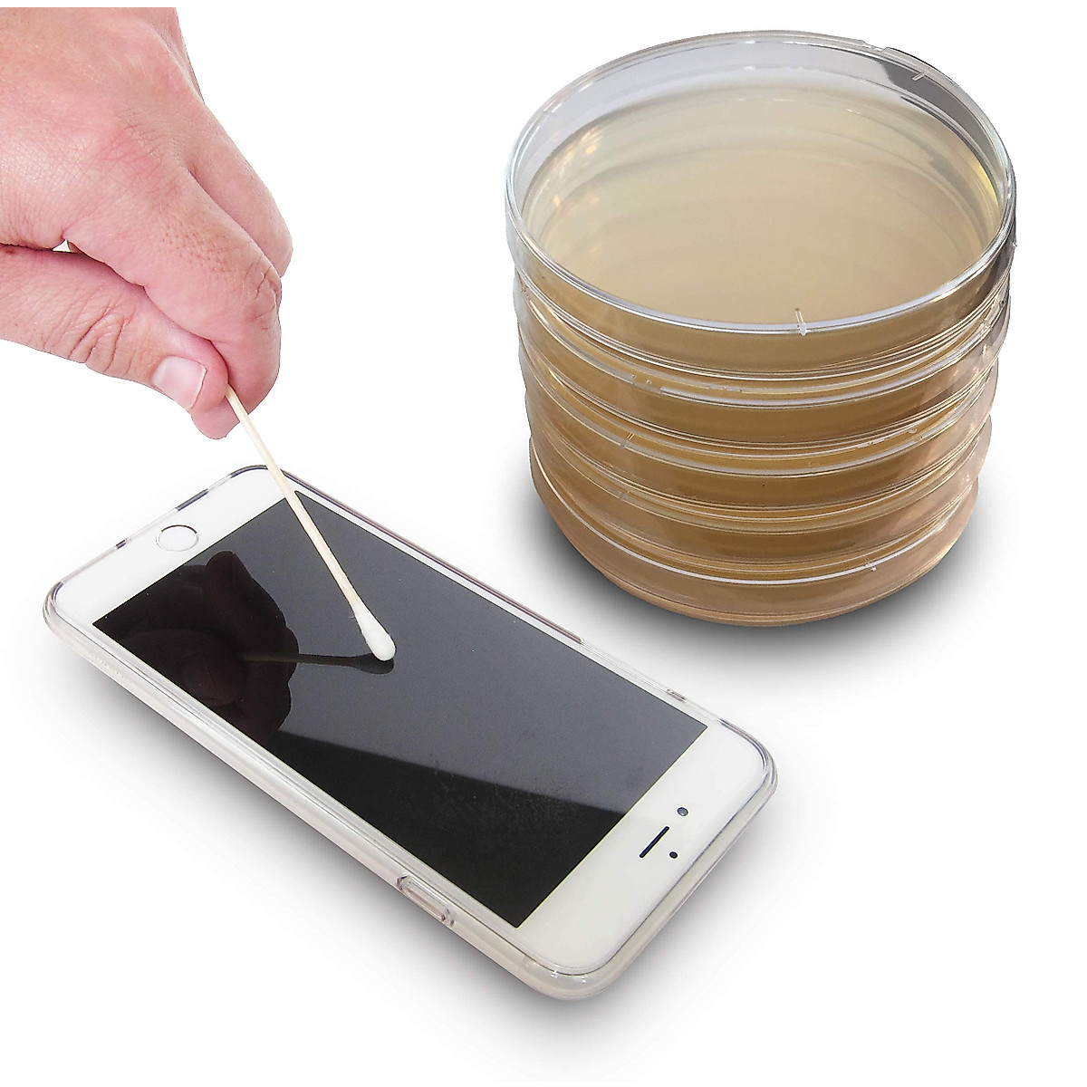 LB Agar Plates - Evviva Sciences - Prepoured Luria-Bertani Agar (LB) Petri Dishes - General Purpose Media - Top Science Kit for Science Fair Projects!