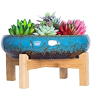 Succulent Pots - Large Succulent Planters Pots with Drainage, 10 Inch Ceramic Bonsai Pot with Stand Round Shallow Planter for Indoor/Outdoor Plants Decorative Garden Cactus Flower Container Bowl