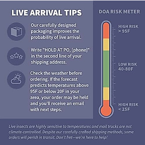 OVIPOST Live Crickets 3/4” Banded | 1000 Count | Live Crickets for Reptiles, Large Bulk Arrival of Large Banded Crickets - High Protein Live Feed Crickets, Bearded Dragon Food & Pet Food