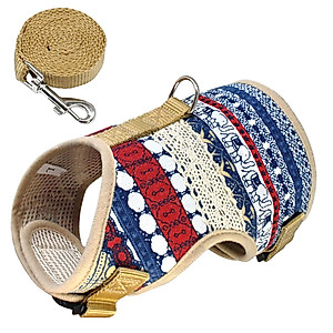 Muttitude Dog Harness & Leash Set for Small Breeds (Extra Large, Goa)