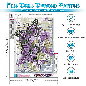 5d Diamond Painting Kits for Adults,Full Drill Diamond Art Animals Butterfly Rhinestone Painting with Diamonds Pictures Arts and Crafts for Home Wall Decor（12x16 Inch）