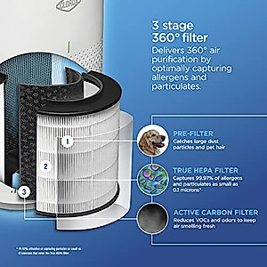 Clorox Air Purifiers for Home, True HEPA Filter, Medium Rooms Up to 1,000 Sq Ft, Removes 99.9% of Mold, Viruses, Wildfire Smoke, Allergens, Pet Allergies, Dust, AUTO Mode, Whisper Quiet