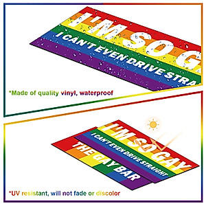10 Pcs Magnetic Bumper Decals Funny Bumper Stickers Rainbow Car Decals Prank Car Stickers Gay Pride Magnets for Vehicles Truck Car Refrigerator