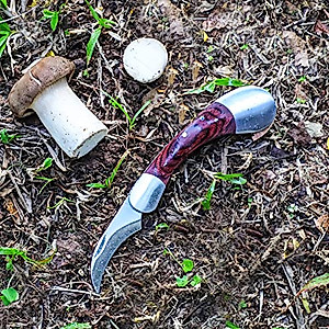 Coowolf Mushroom Knife with Brush and Sheath, Sharp Mushroom Foraging Knife, Folding Mushroom Hunting Knife, Best Gift for Mushroom Hunter and Mushroom Lovers