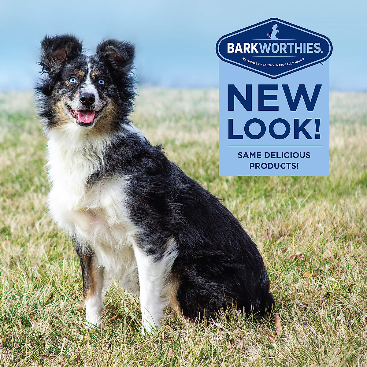 Barkworthies Medium Breed Variety Pack Natural Dog Chews (5 Count)