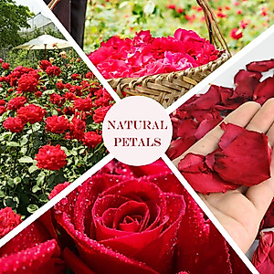 Sukh 3oz Dried Rose Petals - Dry Rose Petals Real Rose Petals Dried Organic for Rose Bath Spa Rose Quartz Candle Soap Making Wedding Confetti Resin Jewelry DIY Crafts Accessories