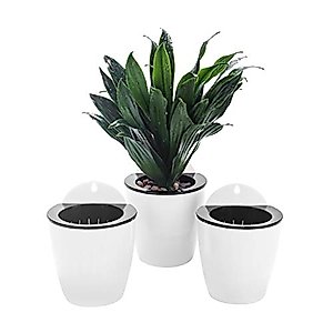 3 Pack Self Watering Wall Hanging Planter Pots Vertical Garden Window Hang Mount Indoor Outdoor Plant Flower Basket for Kitchen Herbs Balcony Railing Shelf Fence Bedroom Trellis Decor Modern White Box