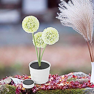 Voluxe Solar Flower Light, Solar Flower Pot Light, Solar Lamp Backyards Courtyards for Industrial Park Residential Square Home Gardens