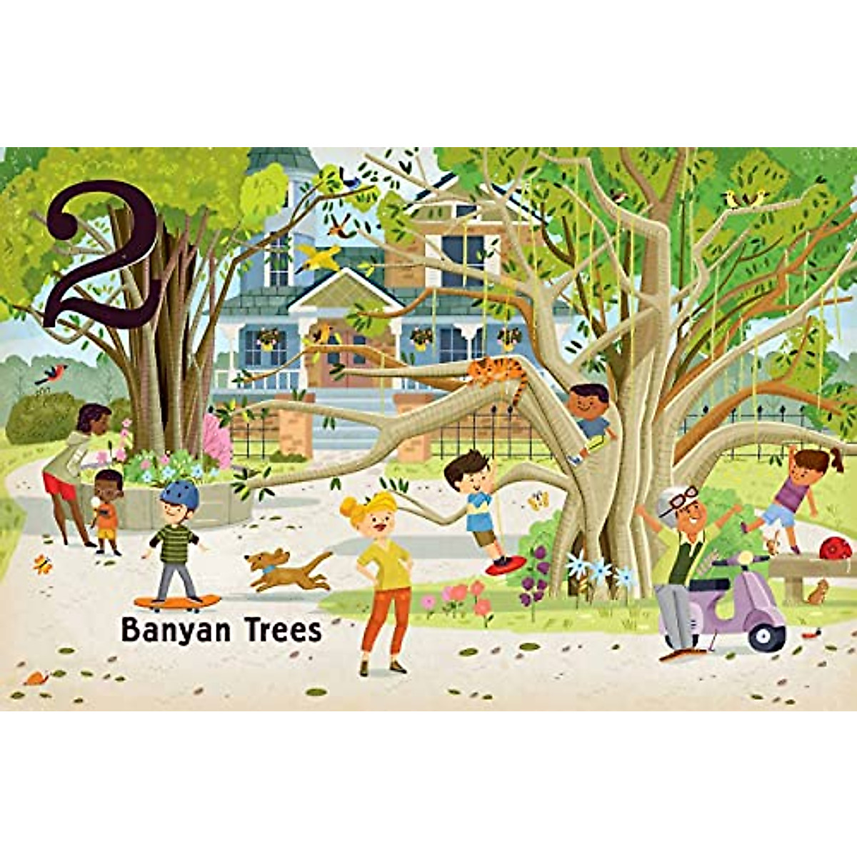 Trees: A Count and Find Primer (BabyLit)