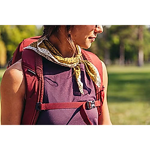 Gregory Mountain Products Rhune 22 Everyday Backpack